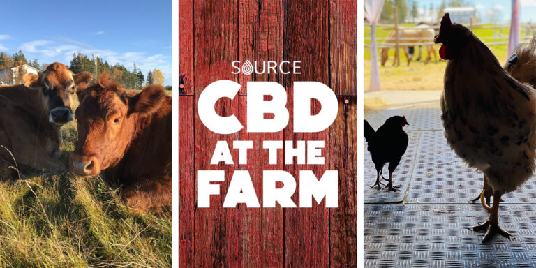 Source CBD Hemp